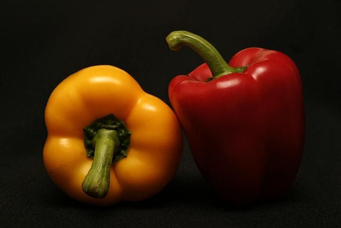 Gevulde paprika's | Nierstichting